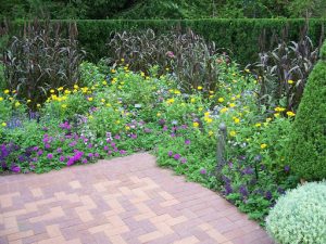 Mix-and-Match Different Shades of Green | Arbor Hills Tree Farm ...