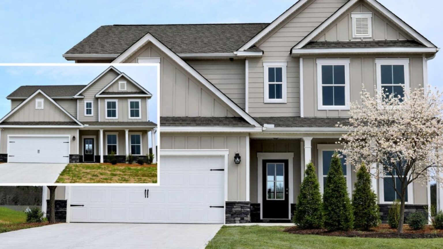 Instant-Impact Trees for Front Yards That Transform Curb AppealArbor ...